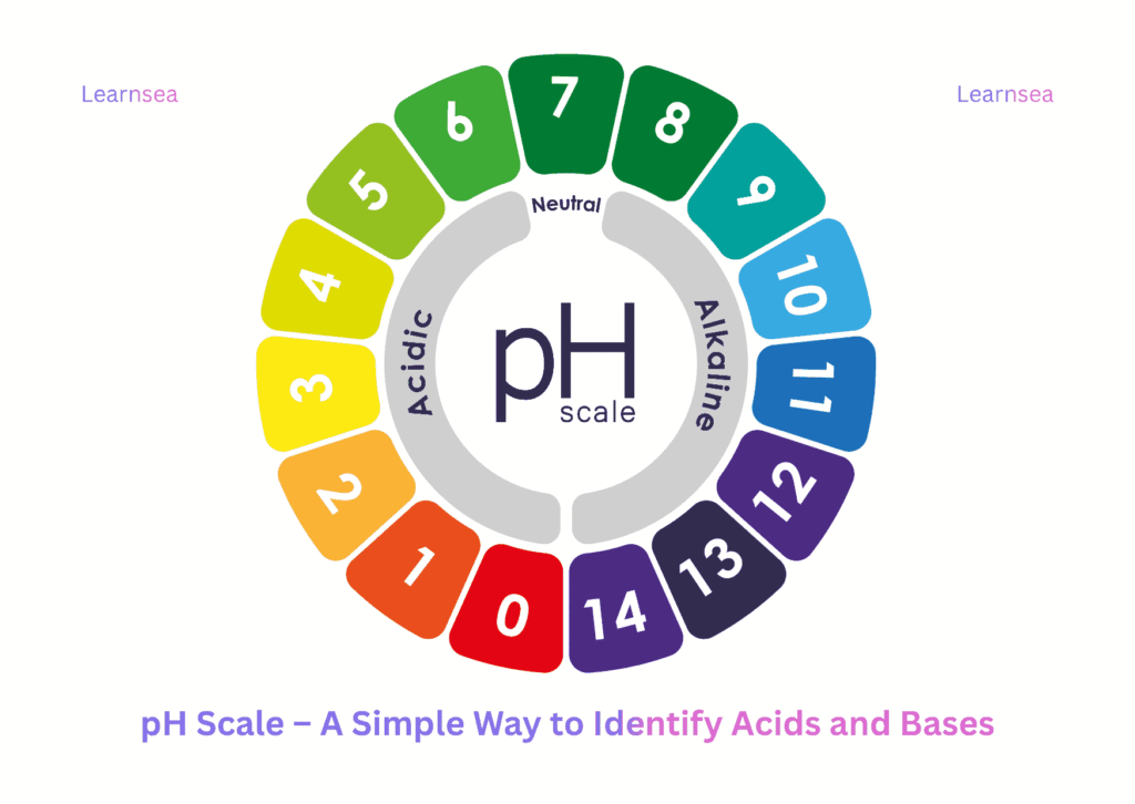 Acids, Bases and Salts Class 10 Notes with Important Concepts | Learn Sea